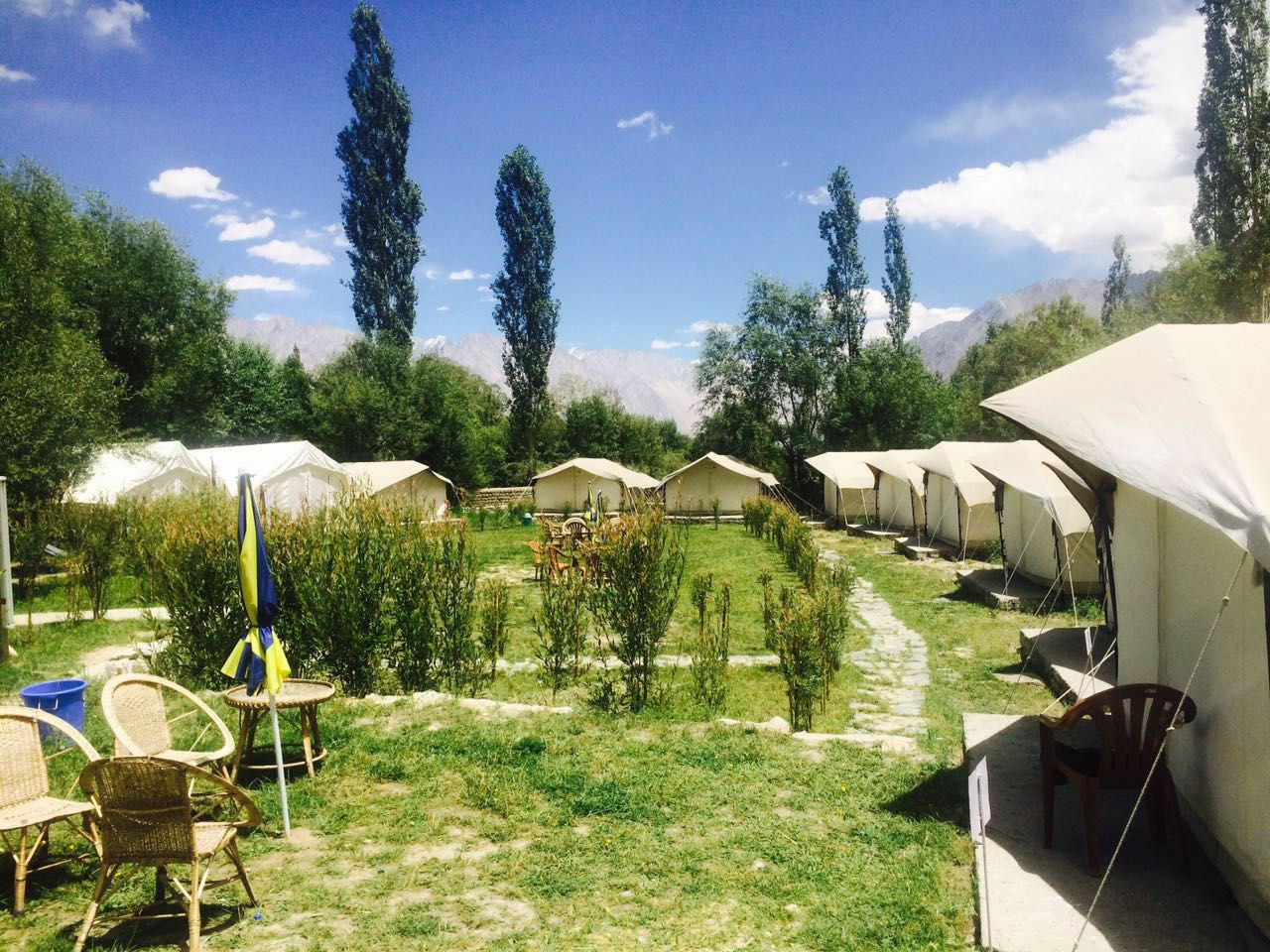 Welcome to Desert Oasis Camp